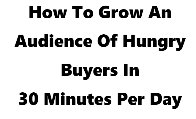 Matt Giaro – The Daily Content System Download - WSOZONE