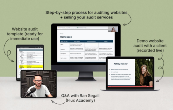 Danbee Shin – Website Audit Masterclass Download - WSOZONE